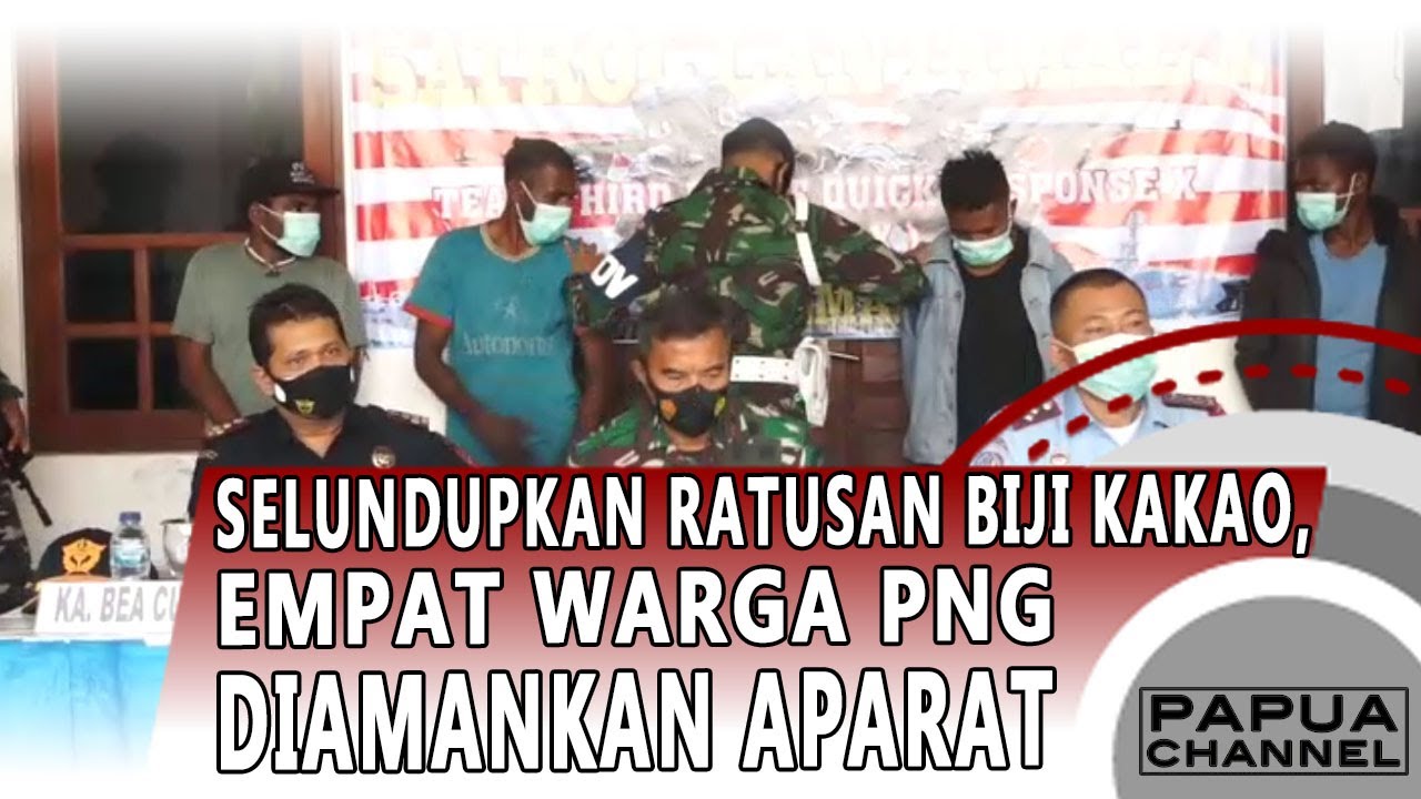 SELUNDUPKAN RATUSAN BIJI KAKAO, EMPAT WARGA PNG DIAMANKAN APARAT ...